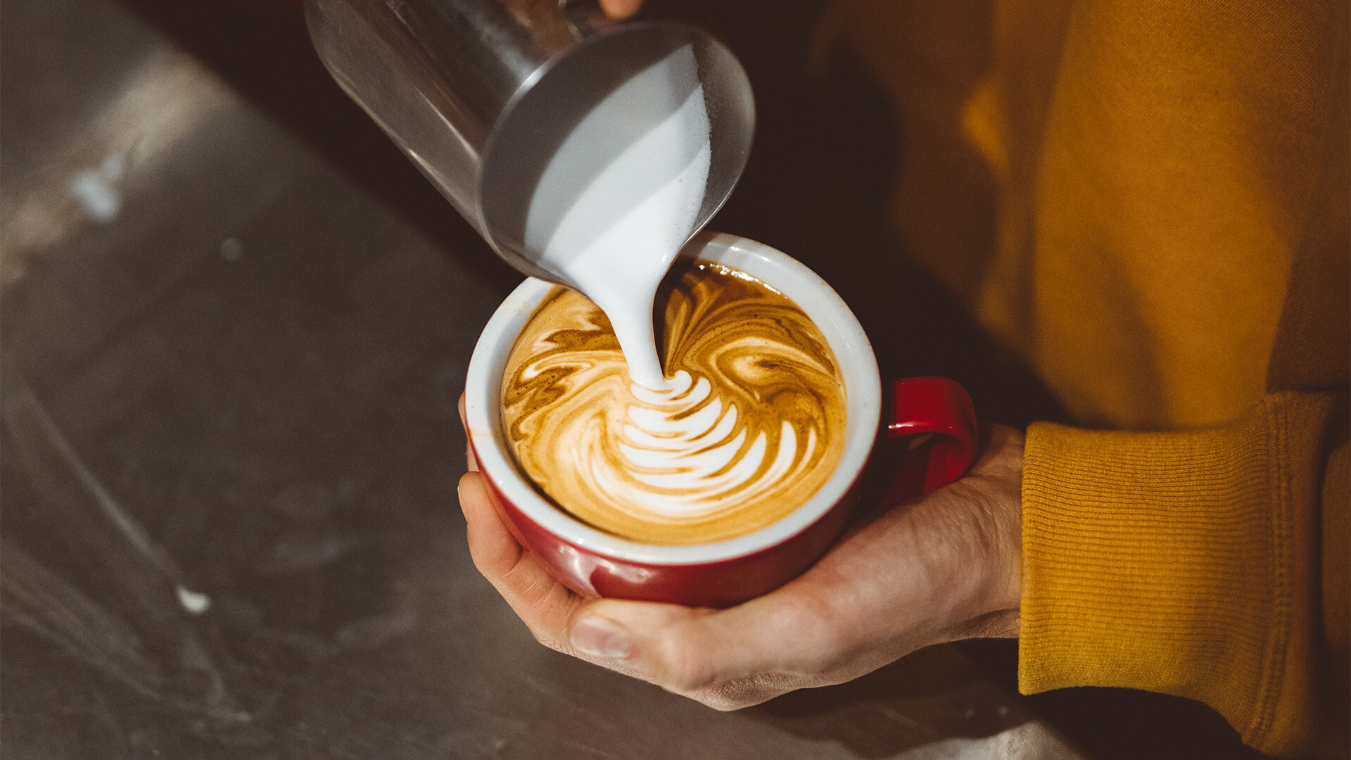 Alt Café | Alt Hotel Ottawa