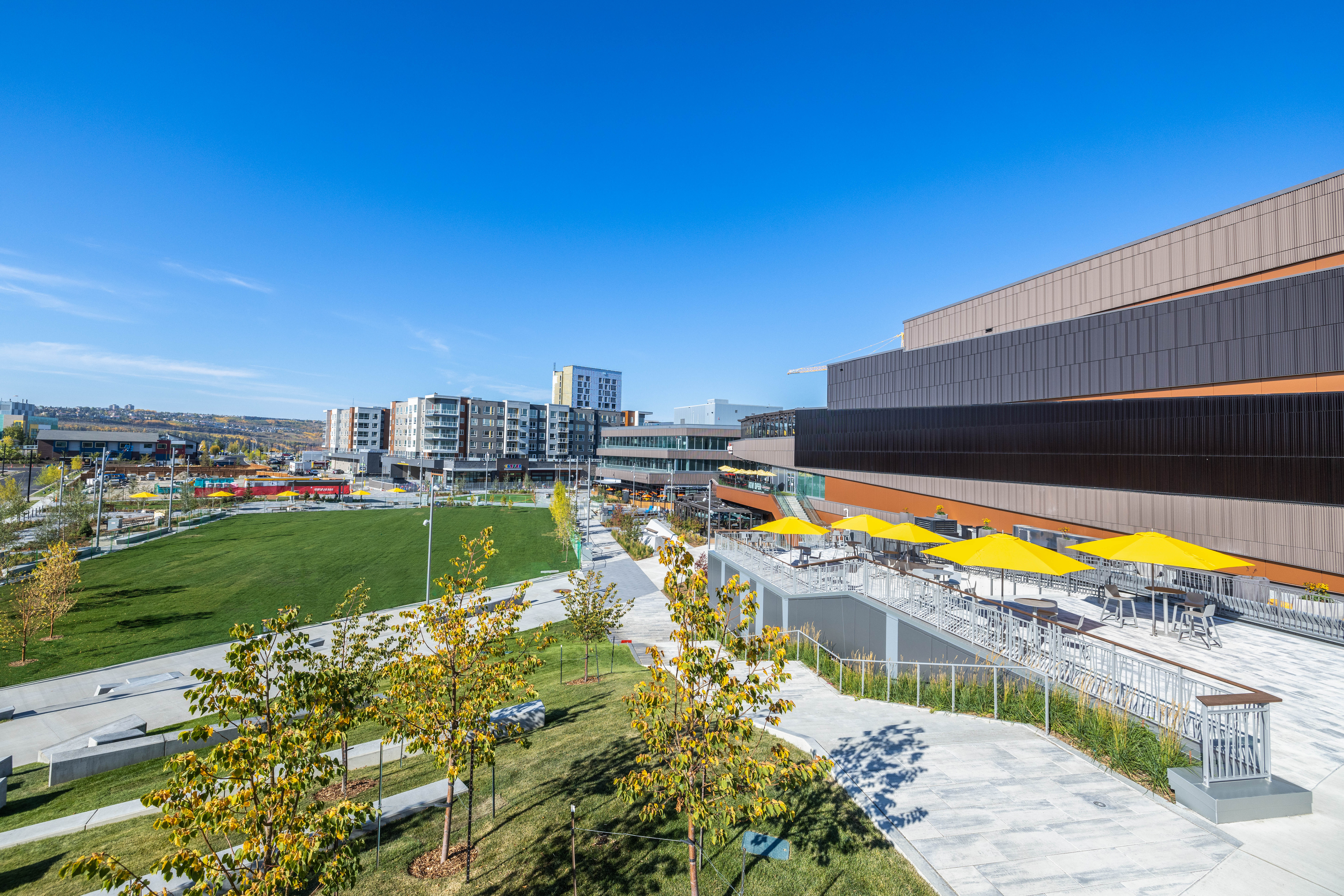 A Glance at University District: Calgary's Coolest New Neighbourhood