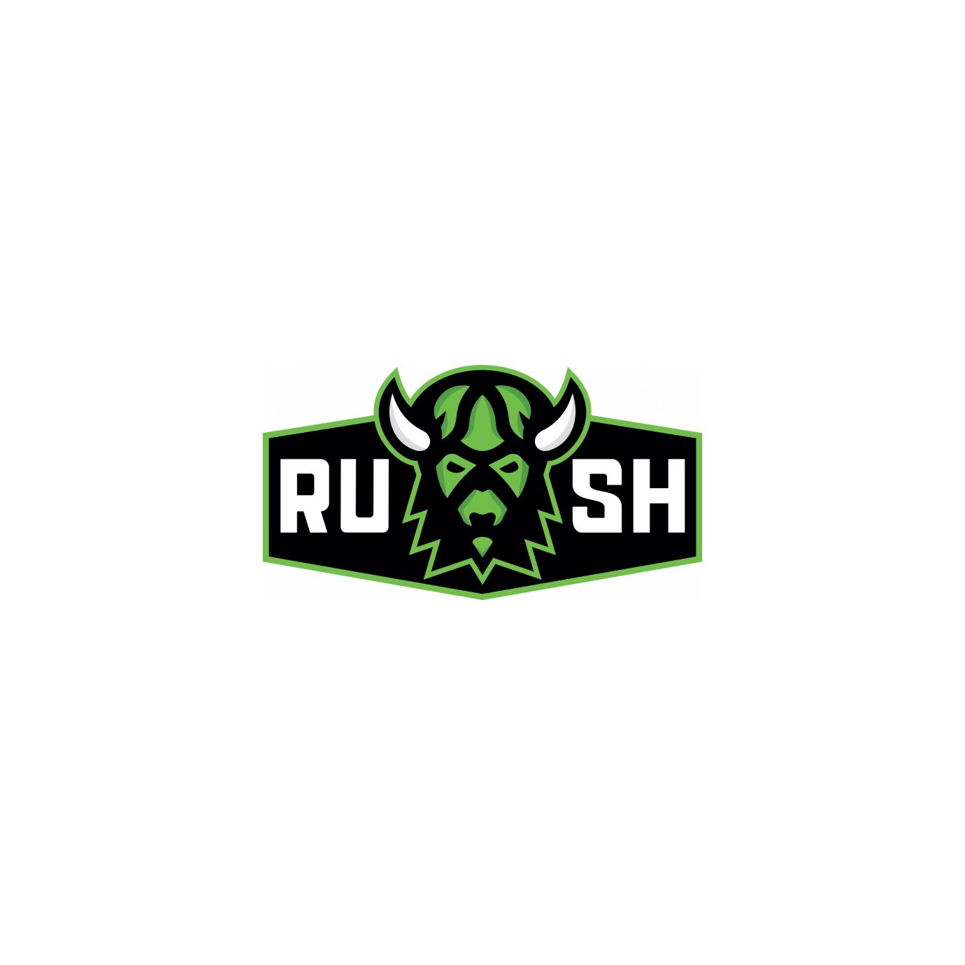 Saskatchewan Rush lacrosse game